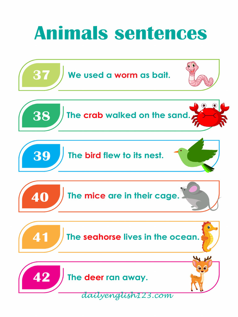 Animals Sentences7 | PDF