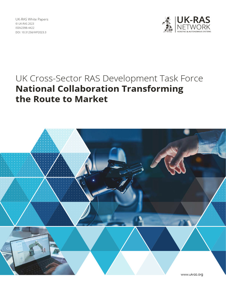 Nefti-Meziani Et Al. (2023) - UK Cross-Sector RAS Development Task Force. | PDF | Innovation ...