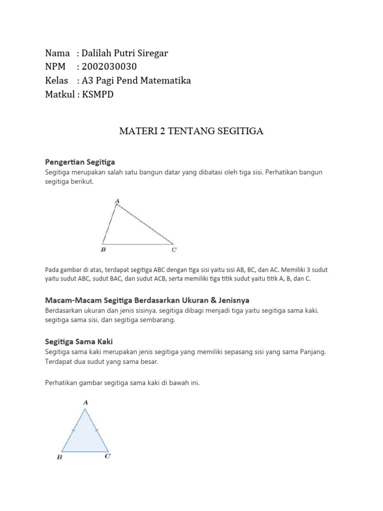 Jenis-Jenis Segitiga dan Rumusnya | PDF
