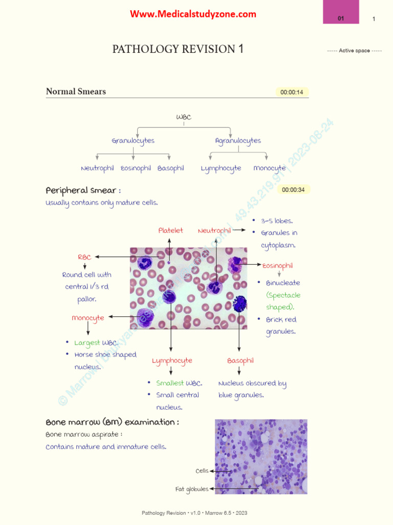 Pathology Revision E6.5 | PDF | Hematology | Causes Of Death