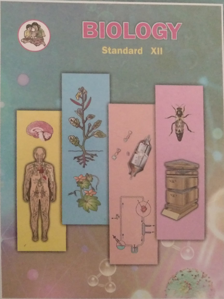 Biology practical | PDF | Stoma | Leaf