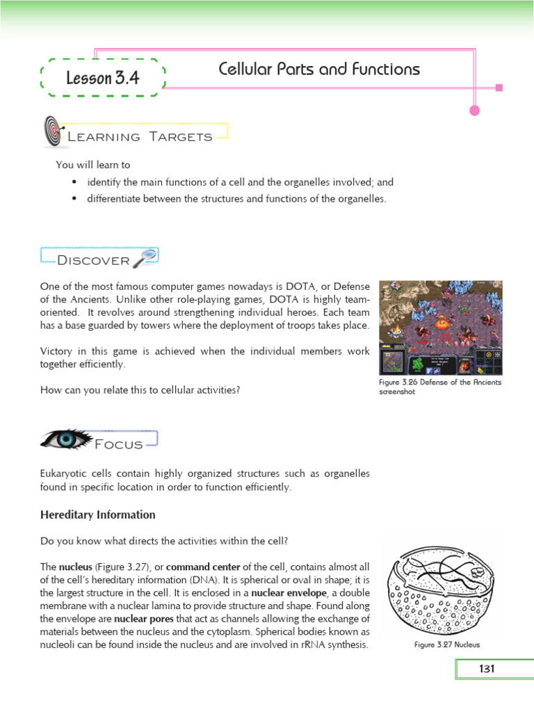 Lesson 3.4: Cellular Parts and Functions | PDF | Endoplasmic Reticulum | Cell (Biology)