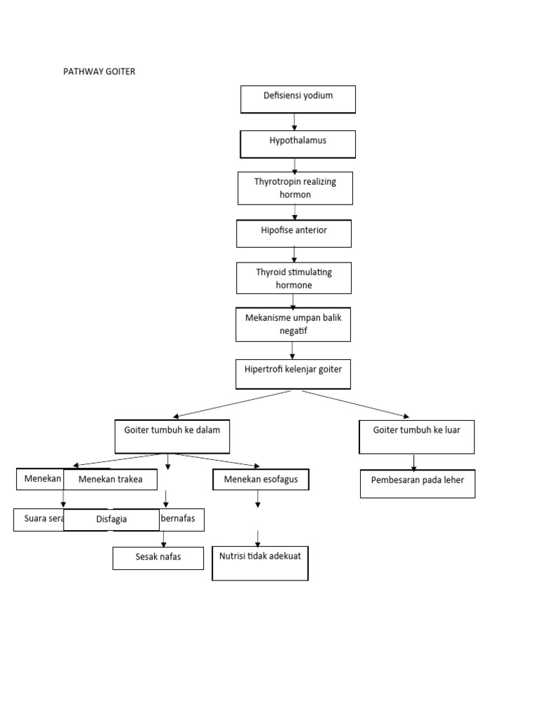 Pathway Goiter | PDF