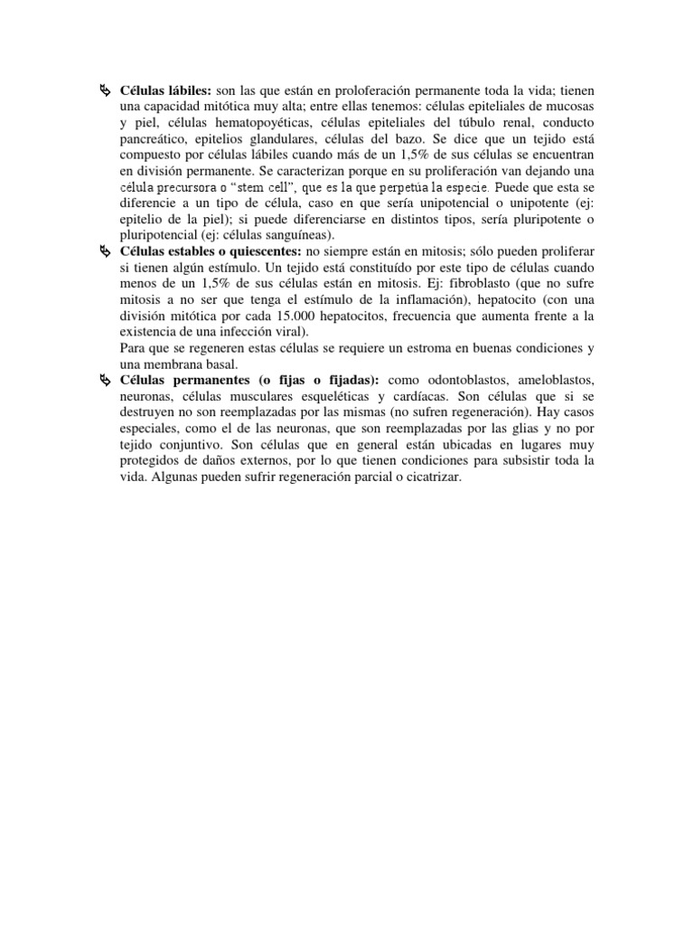 Células Lábiles | PDF