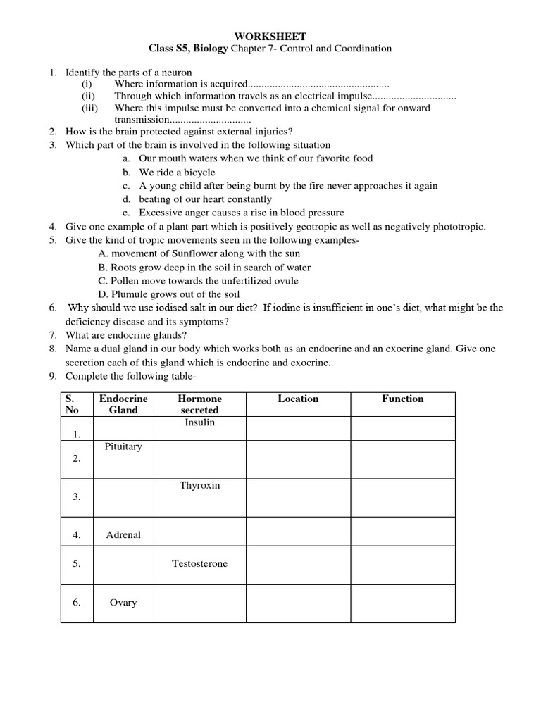CONTROL & Coordination Worksheet | PDF CONTROL & Coordination Worksheet | PDF