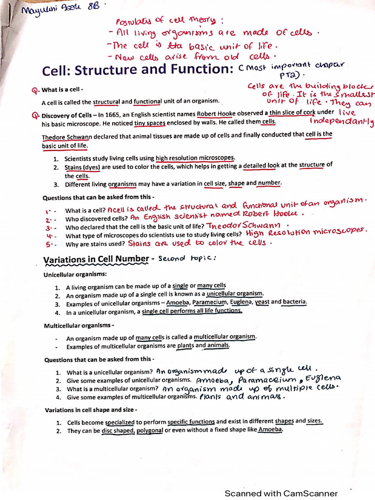 Cell Structure and Functions | PDF