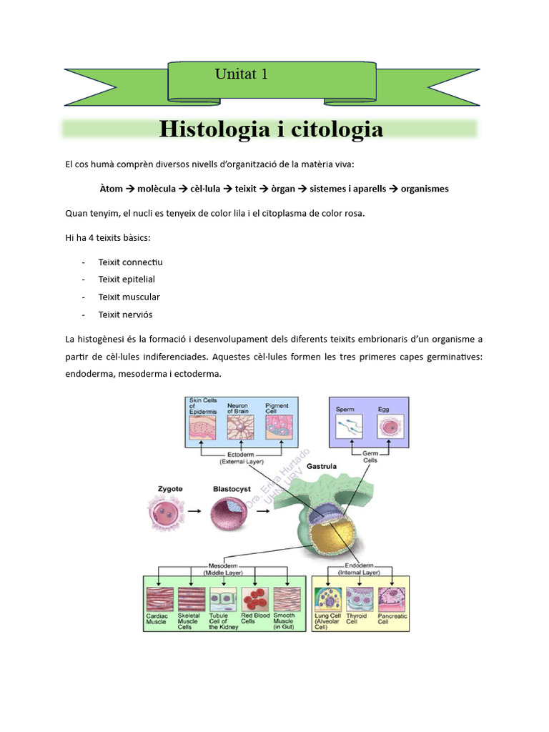 Unitat 1. Introducció | PDF