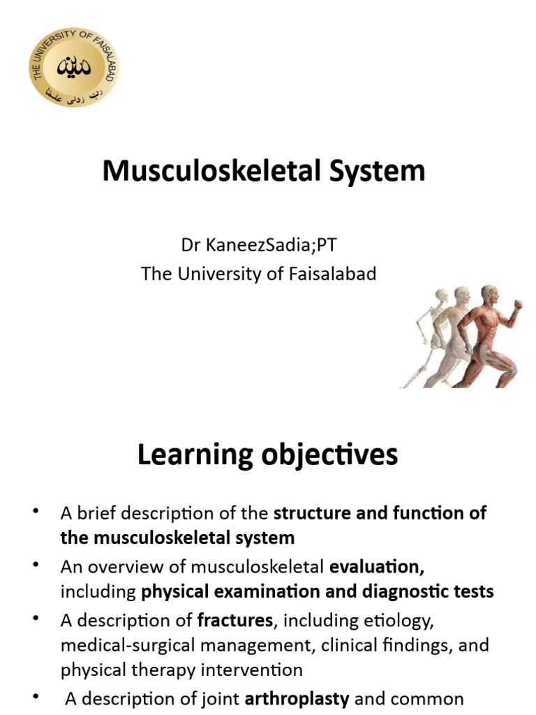 Musculoskeletal System | Download Free PDF | Human Musculoskeletal ...