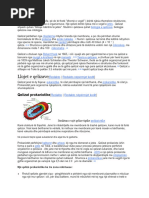 Biologji Riprodhimi Te Shtazët L.H | PDF