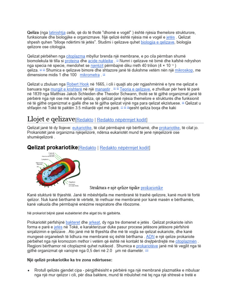 Llojet e Qelizave: Qelizat Prokariotike | PDF