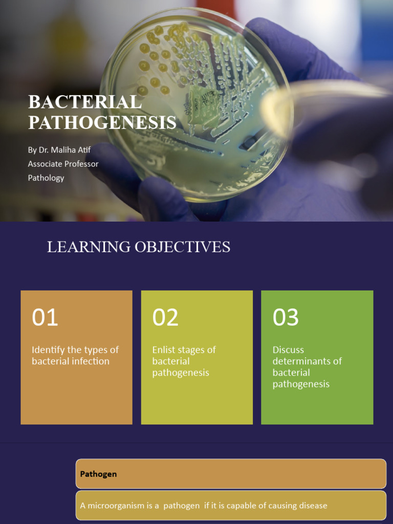 Bacterial Pathogenesis New | PDF | Bacteria | Immune System