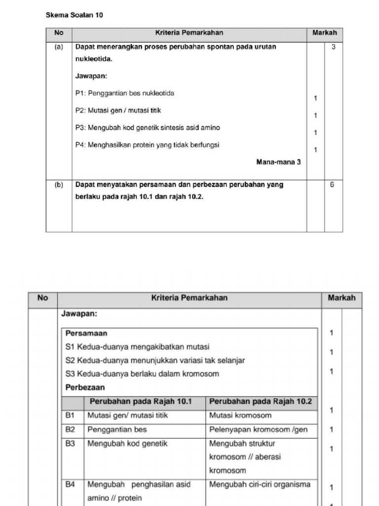 Jawapan Bio t5 Bab 12 | PDF