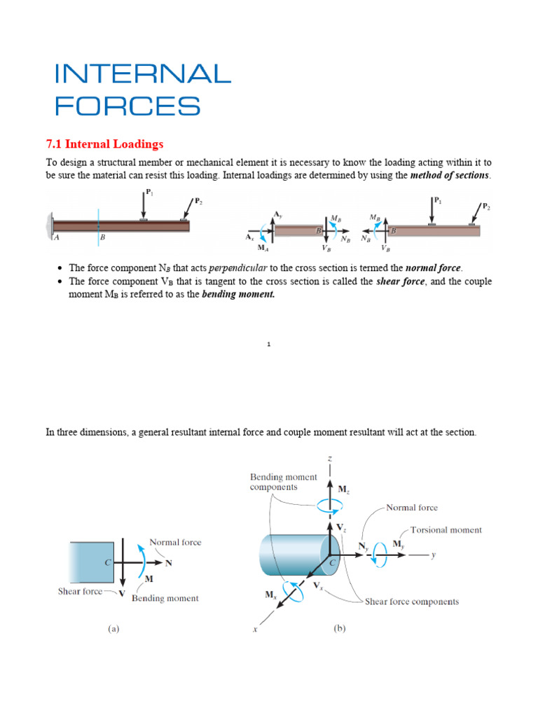 Internal Forces | PDF | Bending | Mechanics