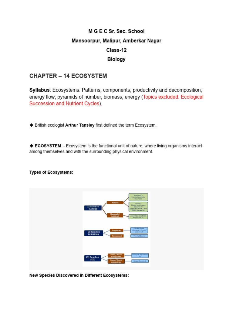 Ecosystem Class 12 Biology | PDF | Food Web | Ecosystem