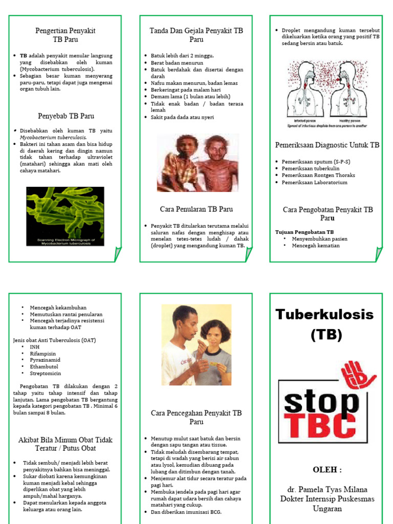 Leaflet TTG TB | PDF