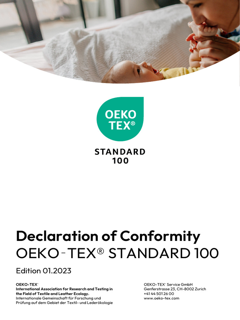 New Declaration Form DOC - STD100 - EN-DE | PDF