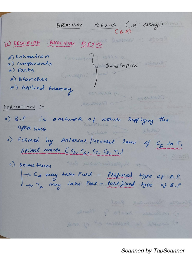TapScanner Document Placeholder | PDF