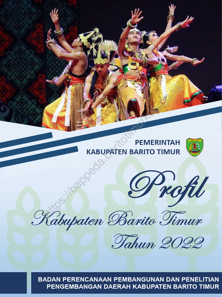 Profil Kabupaten Barito Timur 2022 | PDF