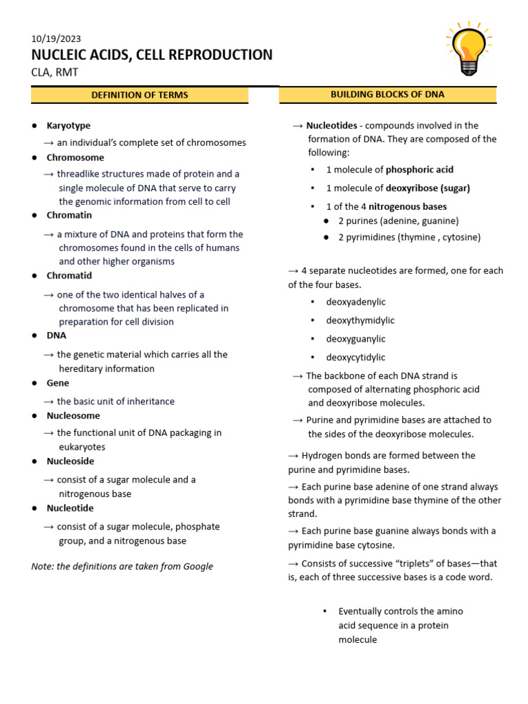 Nucleic Acids Biochem | PDF | Rna | Dna Replication
