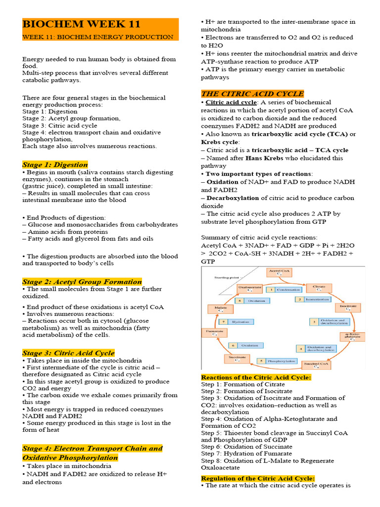 Biochem Week 11 | PDF