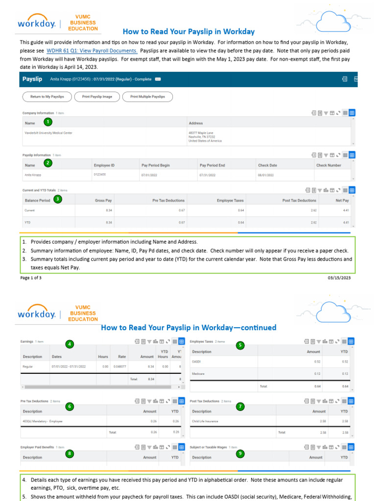 Pay Slip | Download Free PDF | Payroll Tax | Paycheck