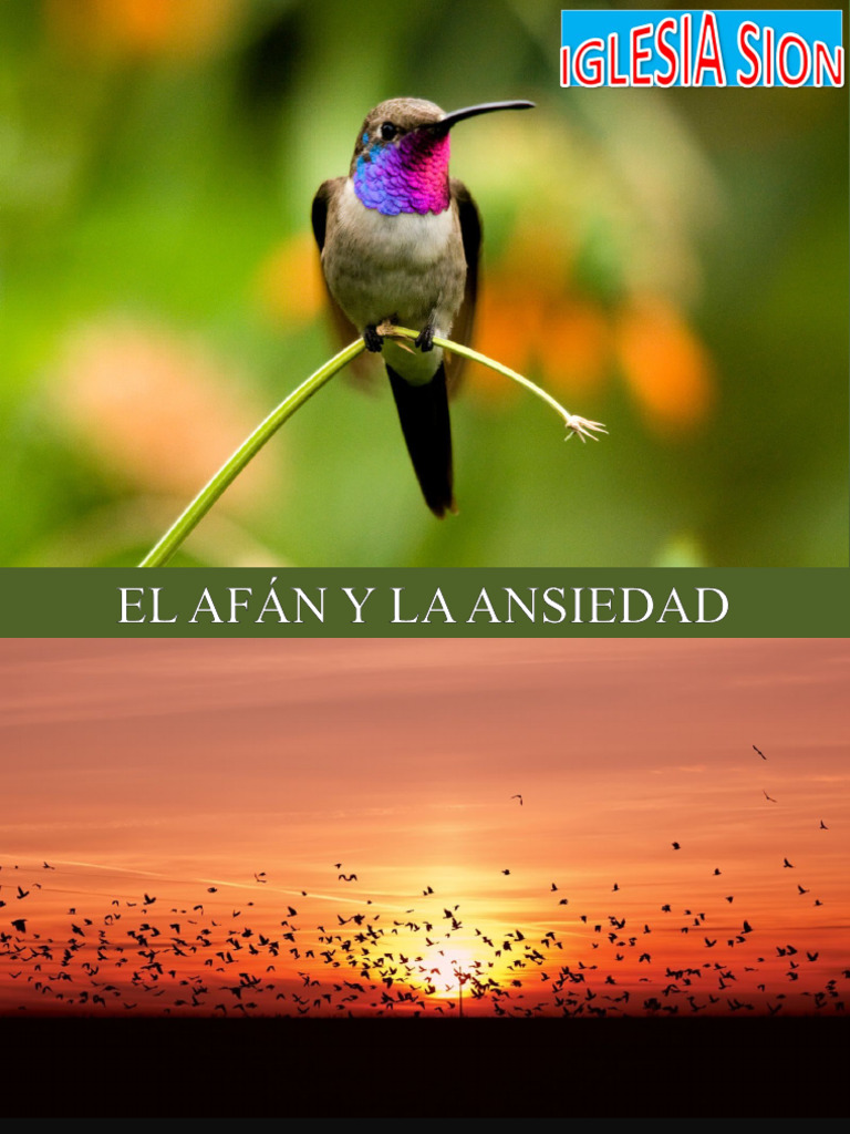 El Afan y La Ansiedad | PDF | María, madre de Jesús