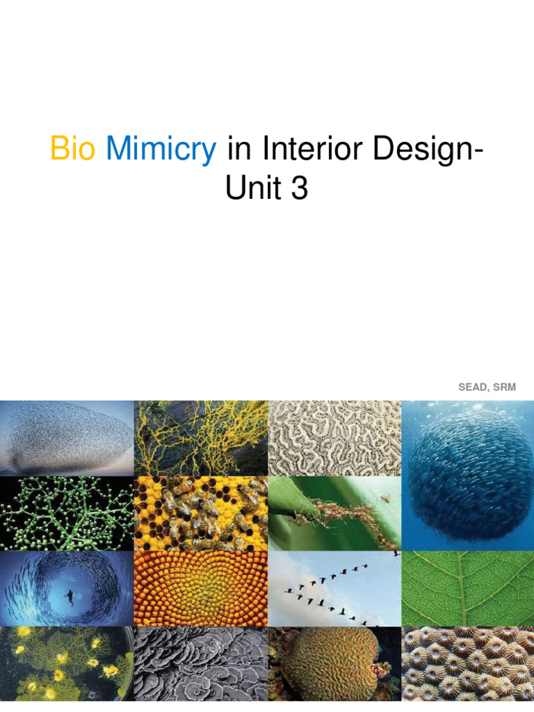 Biomimicry Principles in Interior Design | PDF