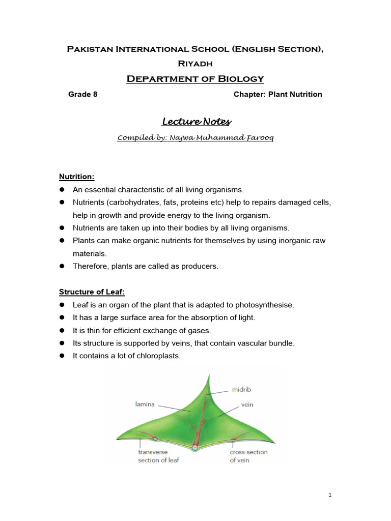 Role of Stomata in Photosynthesis | PDF | Leaf | Stoma