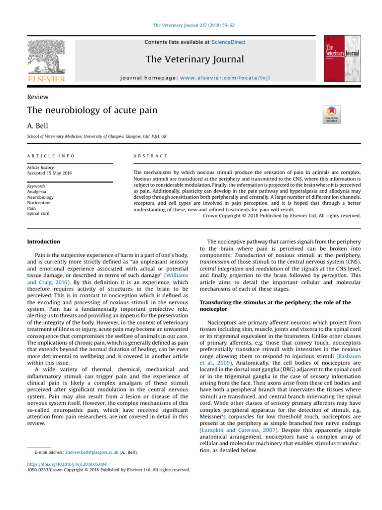 The Neurobiology of Acute Pain | PDF