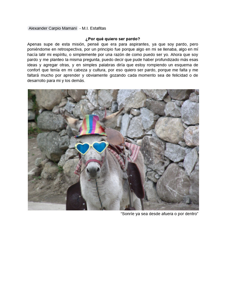 Alexander Carpio Mamani - Whyiwanttopardo | PDF