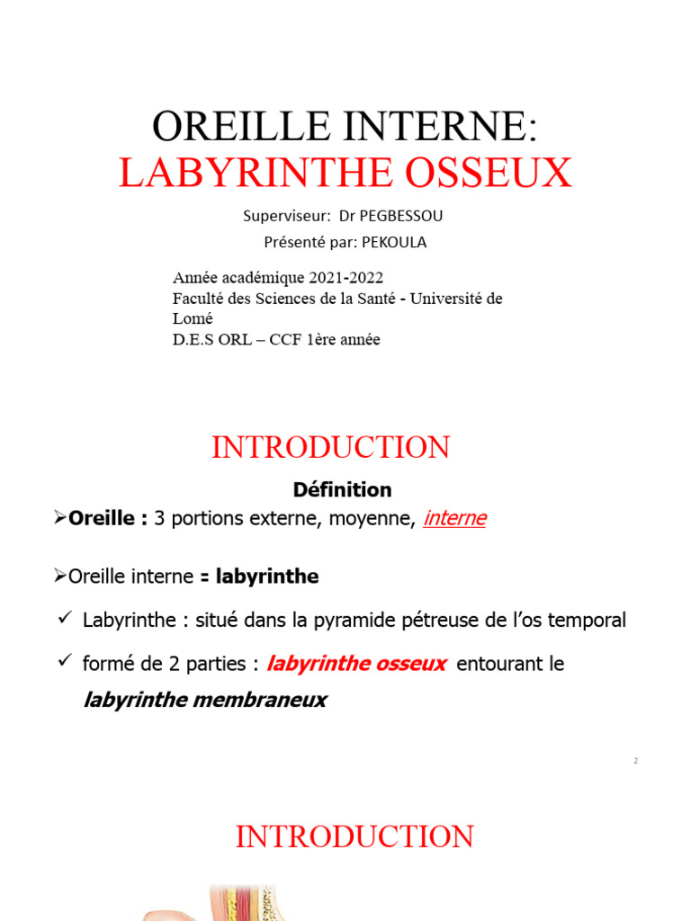 Anatomie du Labyrinthe Osseux de l'Oreille | PDF | Système vestibulaire ...