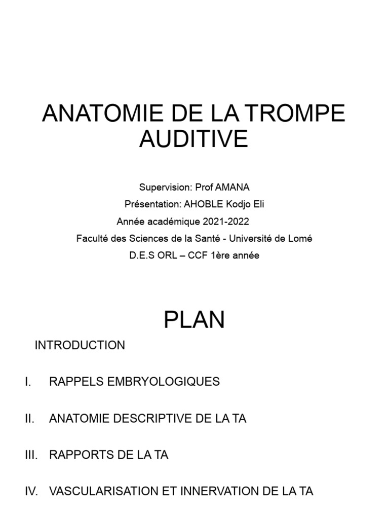 3 - Anatomie de La Trompe Auditive | PDF | Anatomie | Anatomie humaine