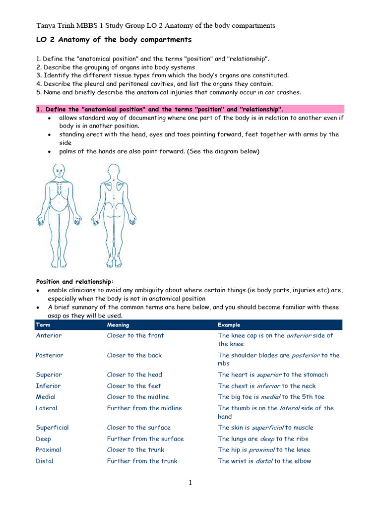 LO 2 Anatomy of Body Compartments (Tanya) | PDF | Human Body | Peritoneum