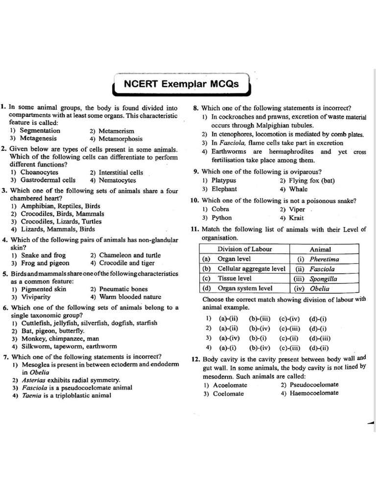 Animal Kingdom Test - Signed | PDF | Anatomy | Zoology