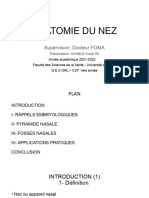 Anatomie du Labyrinthe Osseux de l'Oreille | PDF | Système vestibulaire ...