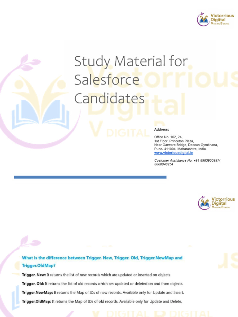 Salesforce Study Material | PDF