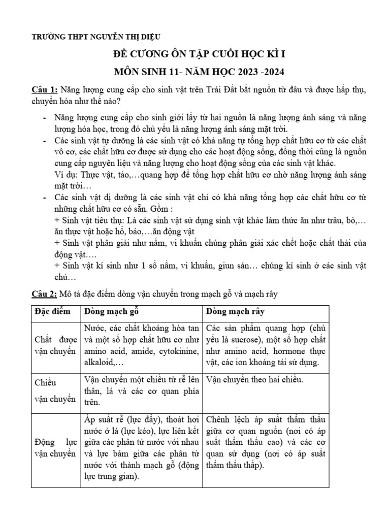 ĐỀ CƯƠNG HK1-SINH 11 (23-24) | PDF