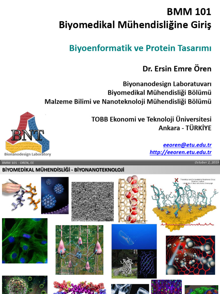 BMM-101 Biyoenformatik | PDF