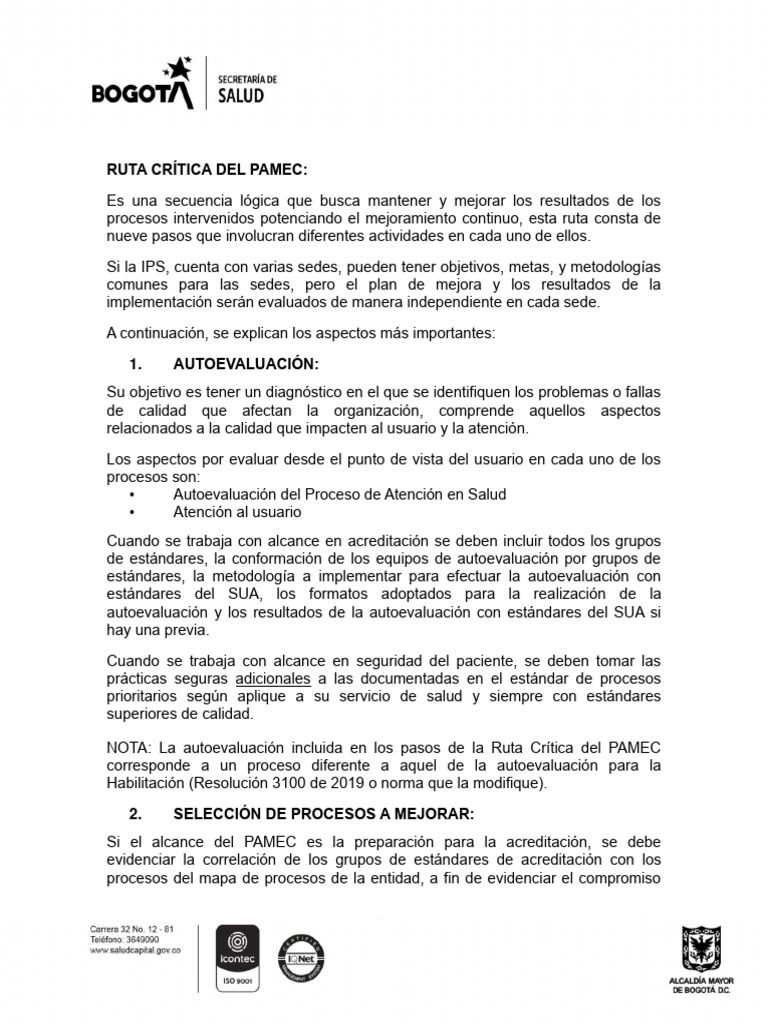Ruta Critica PAMEC | PDF | Auditoría | Planificación