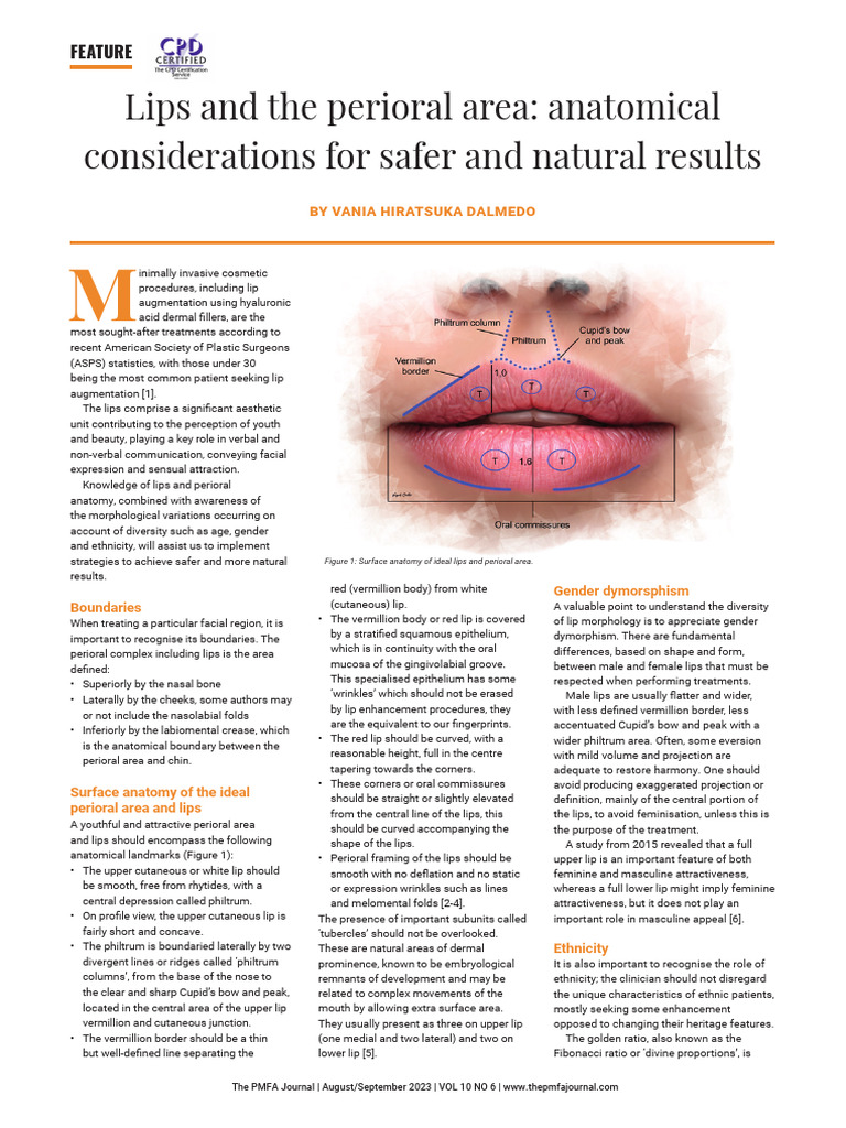 Lips and The Perioral Area Anatomical Considerations For Safer and ...
