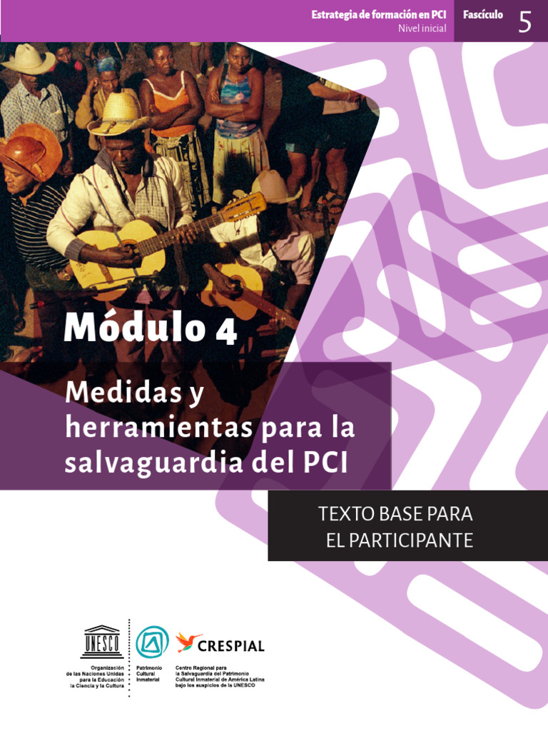 Salvaguardia del PCI: Guía Inicial | PDF