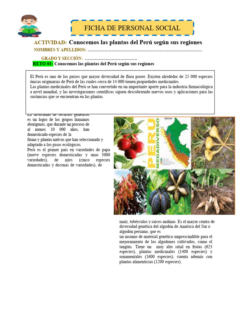 5 FICHA DIA 01 - PS - Conocemos Las Plantas Del Perú Según Sus Regiones ...