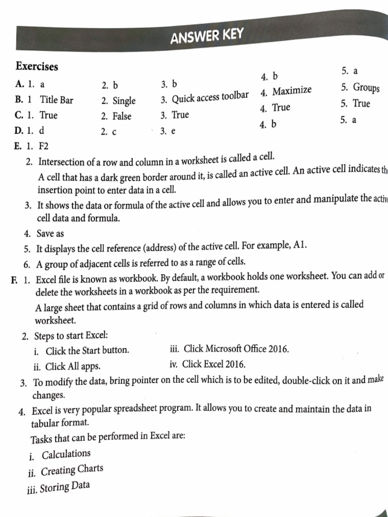 CH-5 (Microsoft Excel 2016) | PDF