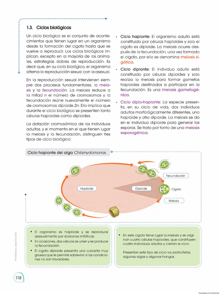 Biologia 3 Bgu | PDF