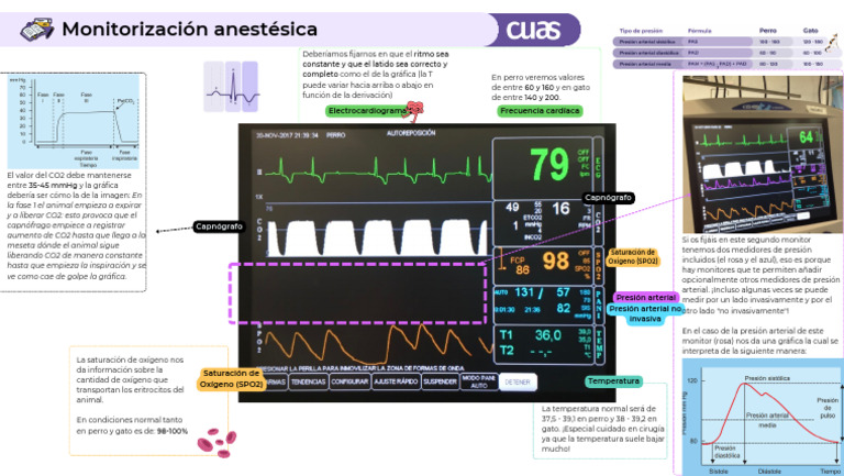 Resumen-del-monitor-de-la-anestesia | PDF | Presión sanguínea ...