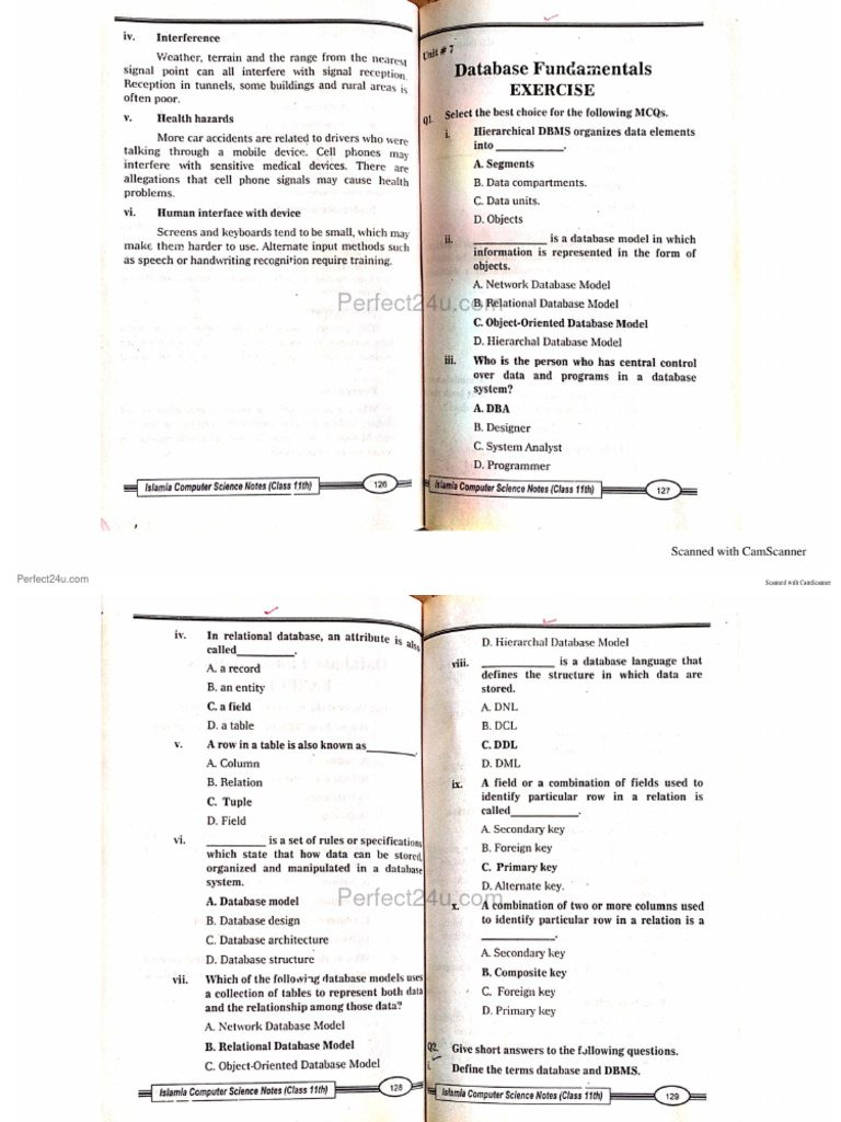 Cha 7 Datbase Fundamental 11 Class | PDF