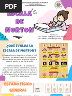 Escala Rass: Escala Richmond de Agitación y Sedación | PDF | Artes del ...