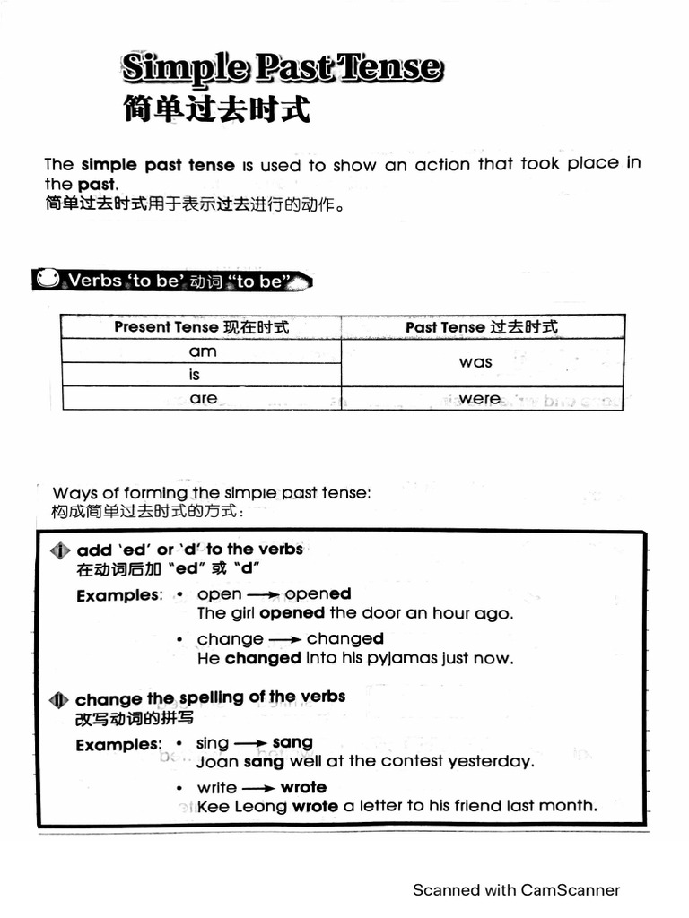 Simple Past Tense | PDF