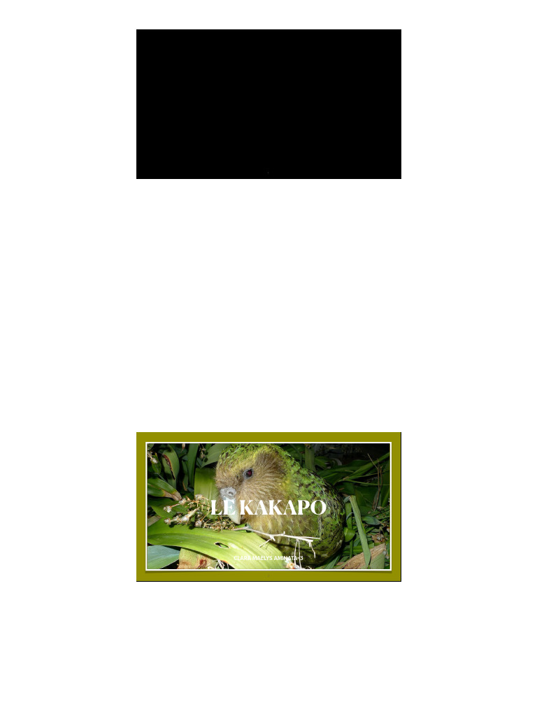Kakapo v2 Copie 3 | PDF