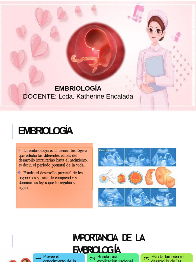 Clase 5 Introduccion Embriologia | PDF | Mitosis | Procesos biologicos